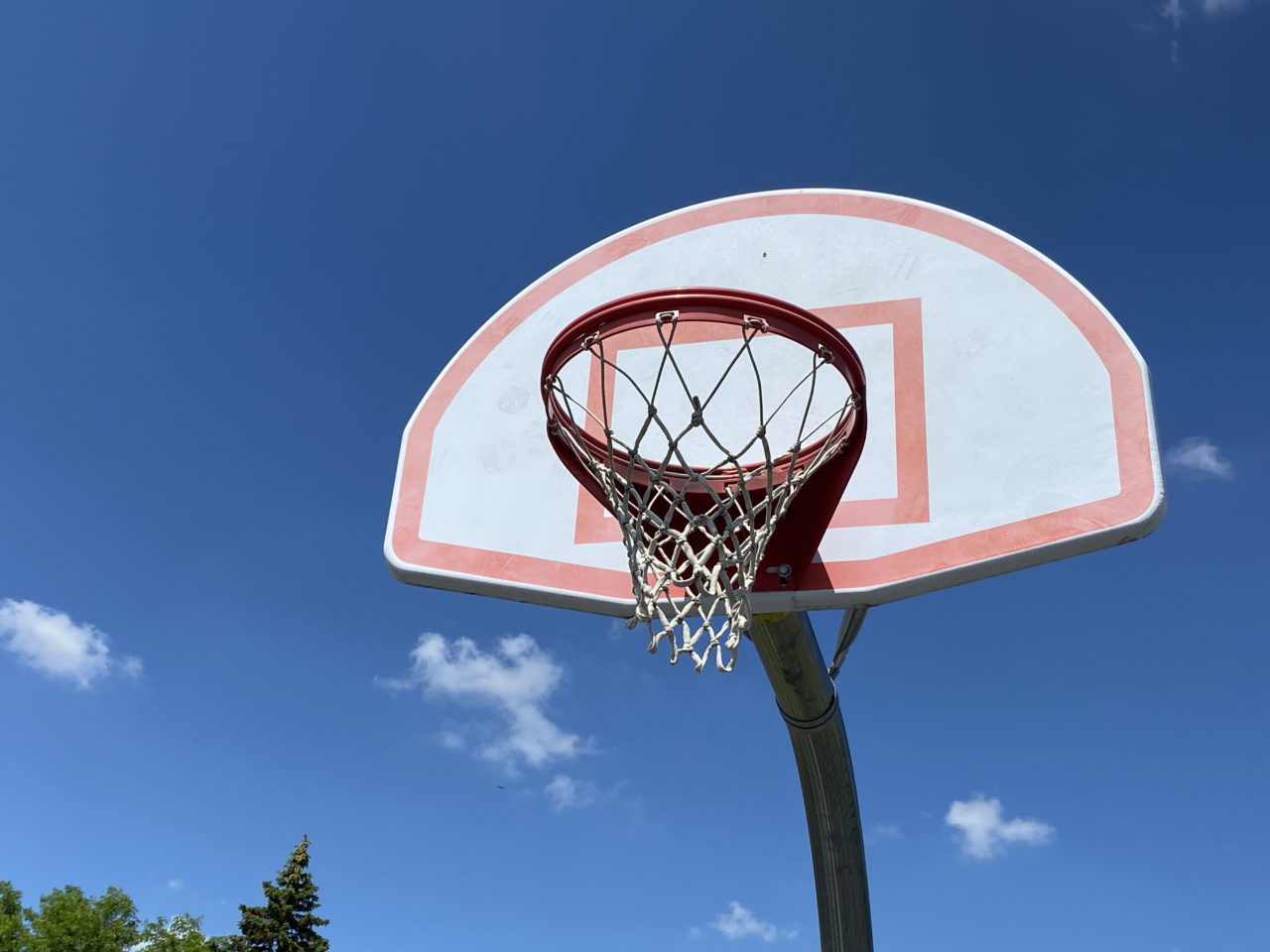 An Intentional Village for People with I/DD - St. Louis Center